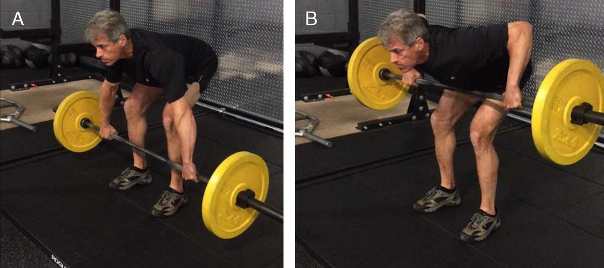 How To : Barbell Bent Over Row